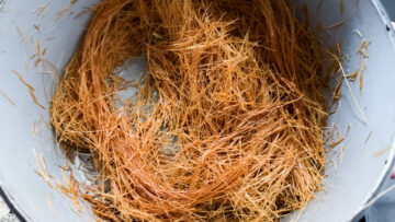 Easy Seviyan (Sawaiyan) Recipe - Pakistani Sweet Vermicelli with Milk ...
